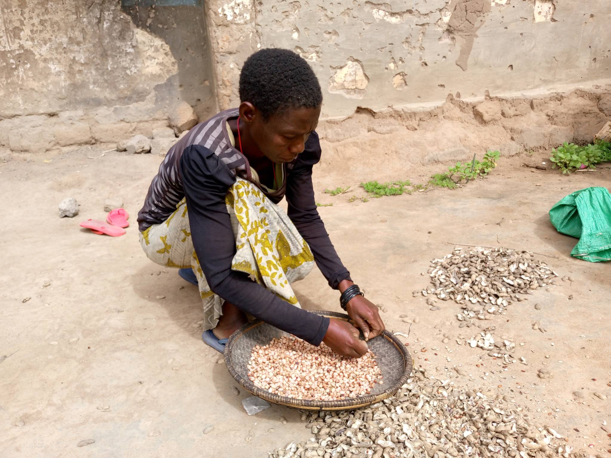 UTAFITI SHIRIKISHI WA KARANGA WAONGEZA HAMASA YA ULIMAJI WA MBEGU BORA ...