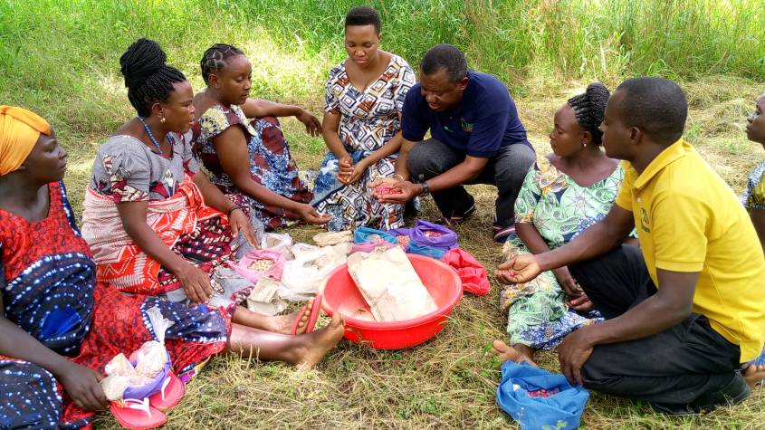 MBEGU ZA KARANGA ZA MAJARIBIO KIGOMA ZAVUTIA WAKULIMA - Mtwara Press Blog